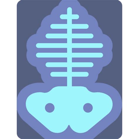 Medical Asserts Icon