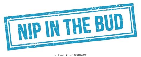 Nip Bud Images Stock Photos Vectors Shutterstock