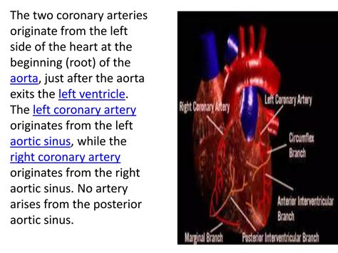 Coronary Circulation Pptx