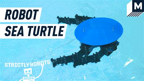 Mit Is Developing A Soft Robot That Takes Its Inspiration From Sea