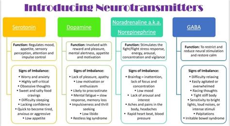 Introducing Neurotransmitters Psychoeducation Function Of Serotonin