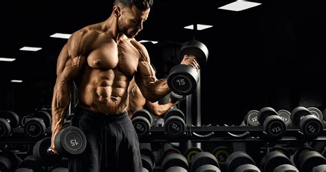 How Do Your Biceps Measure Up Understanding Average Bicep Size By Age