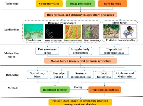 computer vision and motion deblurring technology application