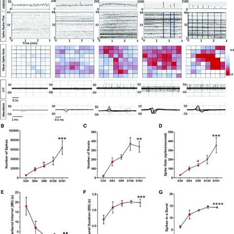 Scrna Seq Reveals Dynamic Cell Type Diversity Throughout The