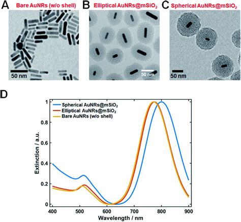 High Throughput In Focus Differential Interference Contrast Imaging Of