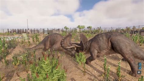 Jurassic World Evolution 2 Triceratops Fight Animation Youtube