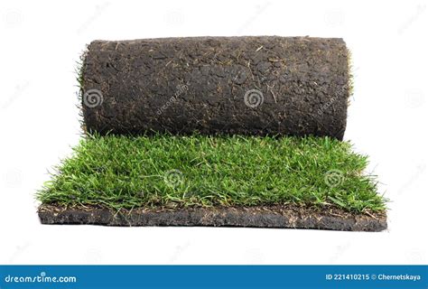 Rolled Sod With Grass On White Background Stock Image Image Of Grow
