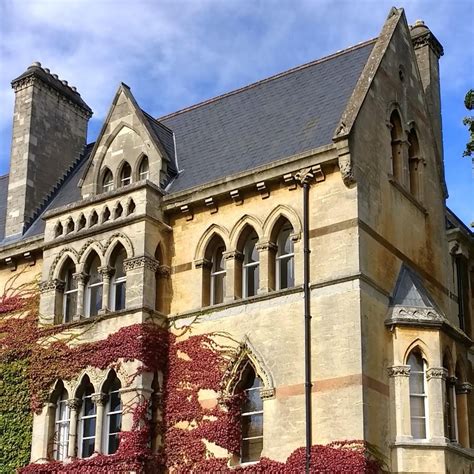 Bart The Owl Youtube