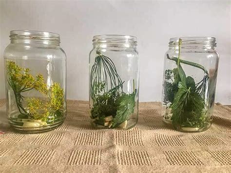 Маринованные огурцы на зиму в литровых банках: 8 рецептов