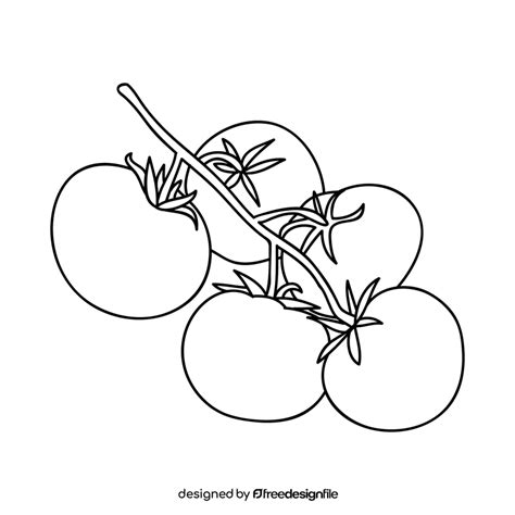 Tomato Branch Black And White Clipart Free Download