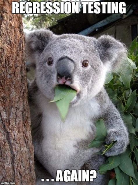 Regression Testing For Beginners What Why When How Asktester