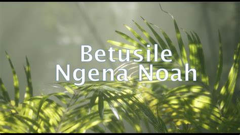 Lyrics And Translations Of Ngena Noah By Betusile Popnable
