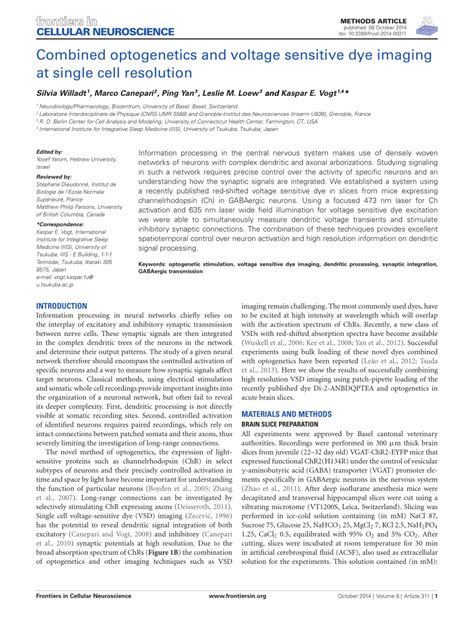 Pdf Combined Optogenetics And Voltage Sensitive Dye Imaging At Single