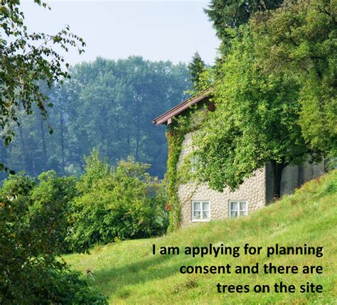 Andrew Belson Arboricultural Consultant