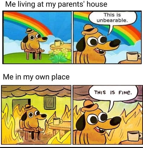 Fine Meme
