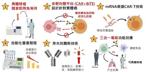 免疫細胞治療癌症新突破！新技術讓實體癌細胞99全消 Heho健康