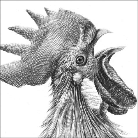 Alejandre Logo Abel Alejandre