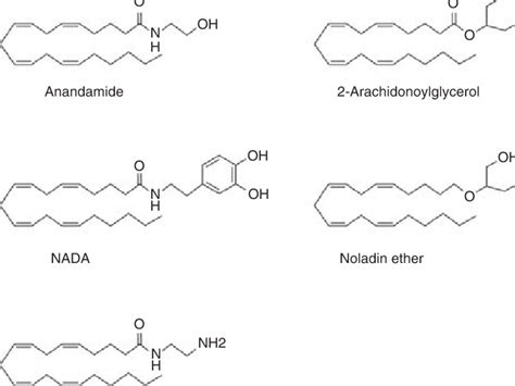 Chemical Structure Of Some Endocannabinoids Anandamide Download Scientific Diagram