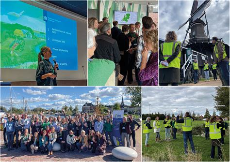 Timeline Spatial Adaptation