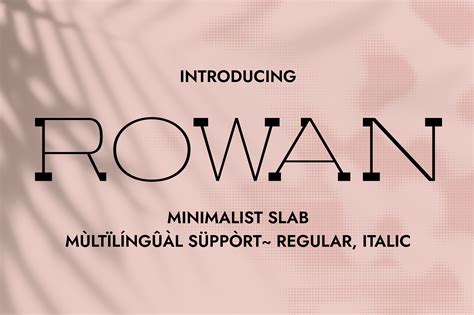 I Will Create Custom Unique Elegant Slab Serif Font Ill Provide