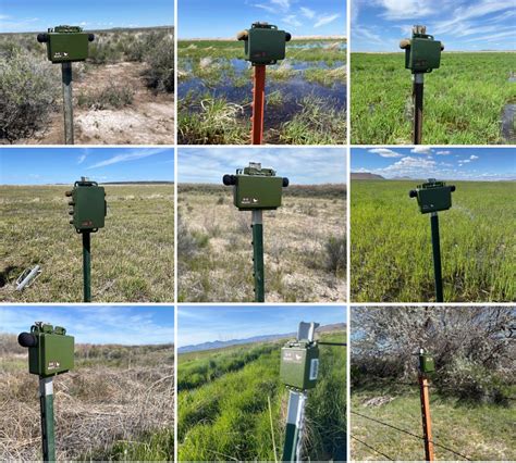 Year 3 Of Passive Acoustic Monitoring Friends Of Malheur Nwr