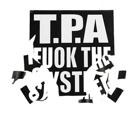 Fragile Eggshell Labels Ruilabels