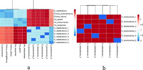 A A Schematic Representation Of K Mer Based Unassembled Similar Download Scientific Diagram