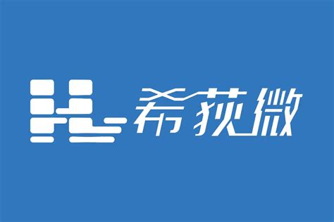 一文了解希荻微标志设计含义及设计理念案例 三文品牌