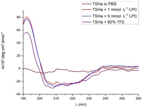 Peptide Dimerization As A Strategy For The Development Of