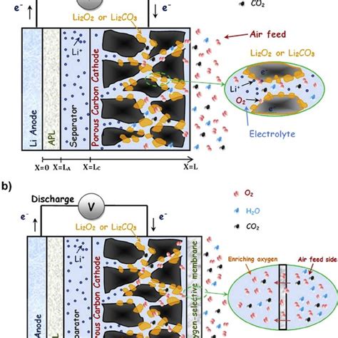 Pdf Modelling Of Operation Of A Lithium Air Battery With Ambient Air And Oxygen Selective Membrane