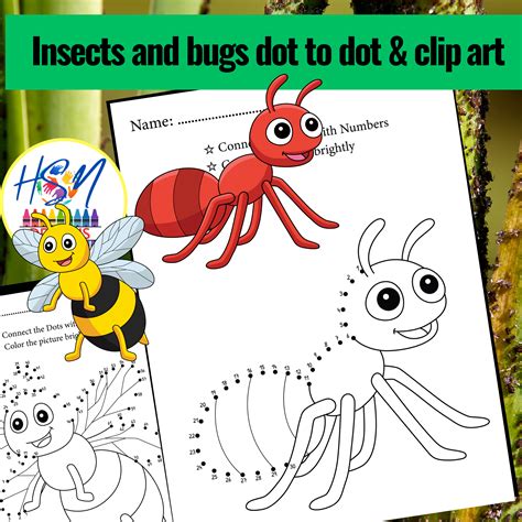 Insects And Bugs Dot To Dot And Clip Art ﻿ Connect The Dots Spring