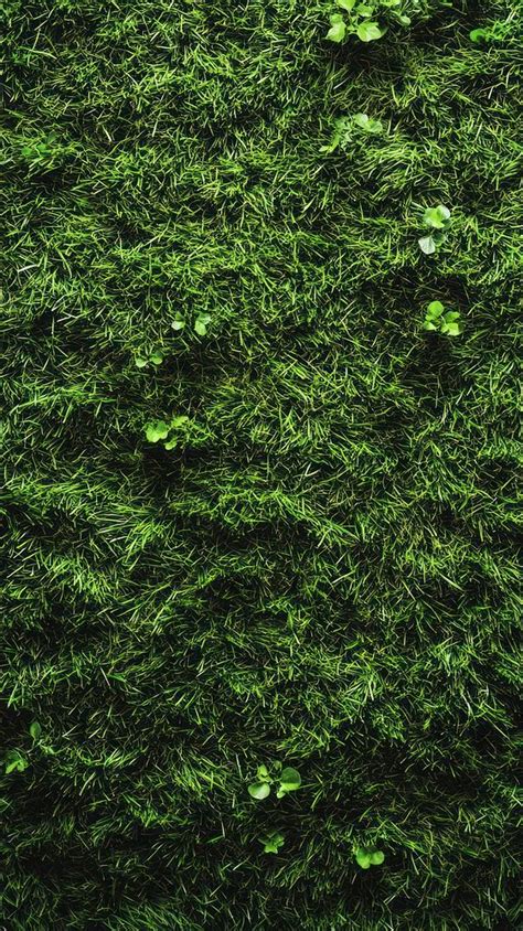 Wallpaper Grass Vegetation Outdoors Texture Free Photo Rawpixel