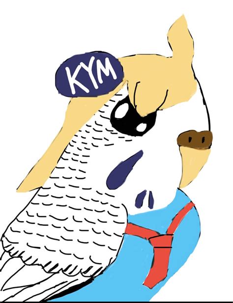 Budgie Kym Tan Kym Tan Know Your Meme