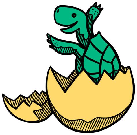 100 Tortoise Egg Illustrations Royalty Free Vector Graphics And Clip