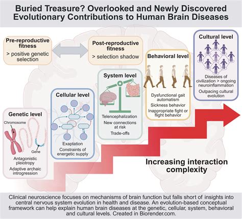 Buried Treasure Overlooked And Newly Discovered Evolutionary