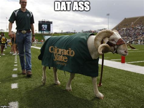 Csu Pics Memes Etc Page 2 Allbuffs Unofficial Fan Site For The