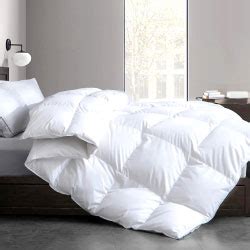 Ultimate 80 Percent White Goose Down And Feather Quilt By Renee Taylor