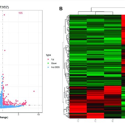 Differentially Expressed Mrna Analysis And Cluster Analysis A
