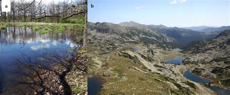 Typical Habitats Of Silica Scaled Chrysophytes Situated In Hungary A