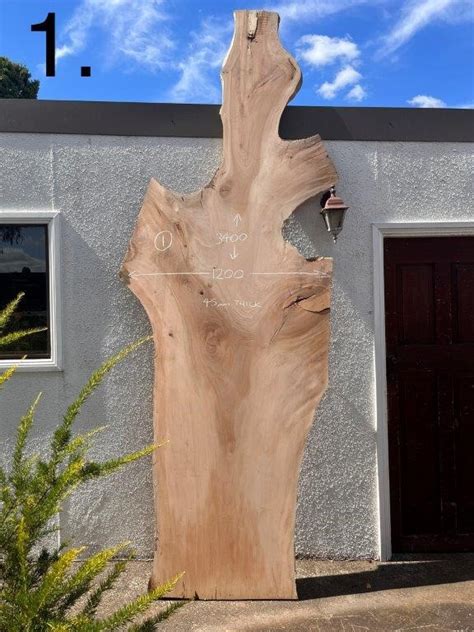 Large Timber Slab London Plane Tree Auction 0001 5051592 Grays