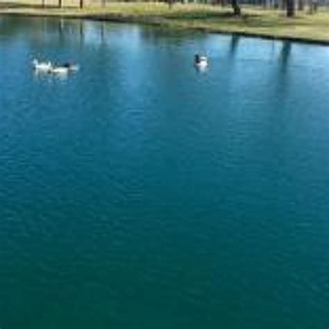 Stream Bridgette Bush Hunt Music Listen To Songs Albums Playlists