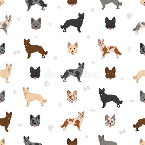 Mudi Seamless Pattern Different Poses Coat Colors Set Stock Vector