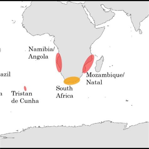 2 Callosity Pattern Of Srw With The Key Photo Id Features Identified