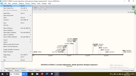 序列分析引物设计去除终止子 Csdn博客