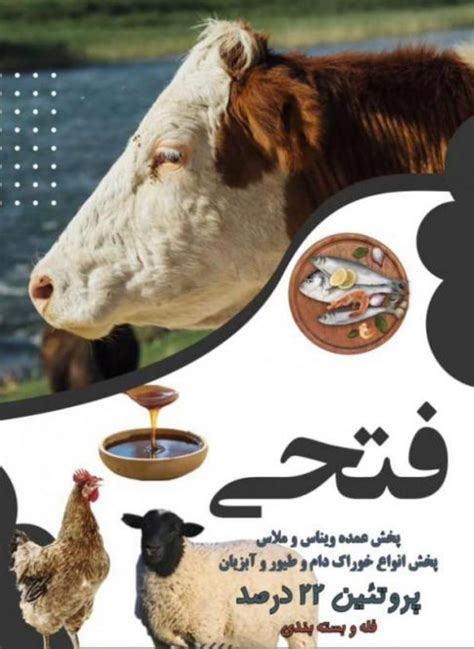 شرکت خرید و فروش ملاس چغندر قند و پساب ملاس فتحی در کرمانشاه