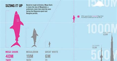 All Hail Mega Shark Imgur
