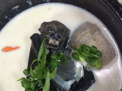 Fruit Bat Soup Is A Popular Dish In Palau Micronesia The Bat Is