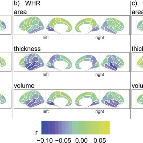 Linear Body Brain Association Patterns Across Cortical Parcellations Download Scientific