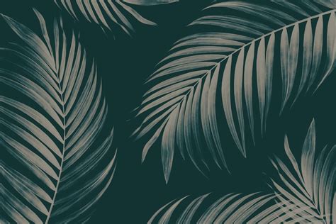 Dark Palm Leaf Wallpaper Mural Hovia