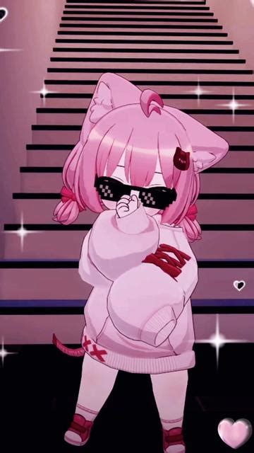 猫猫跳舞表情包动图 抖音